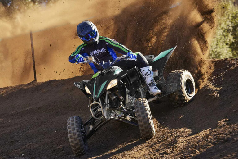 Silent, Strong, And Sustainable: The Rise Of Electric Quad Bikes